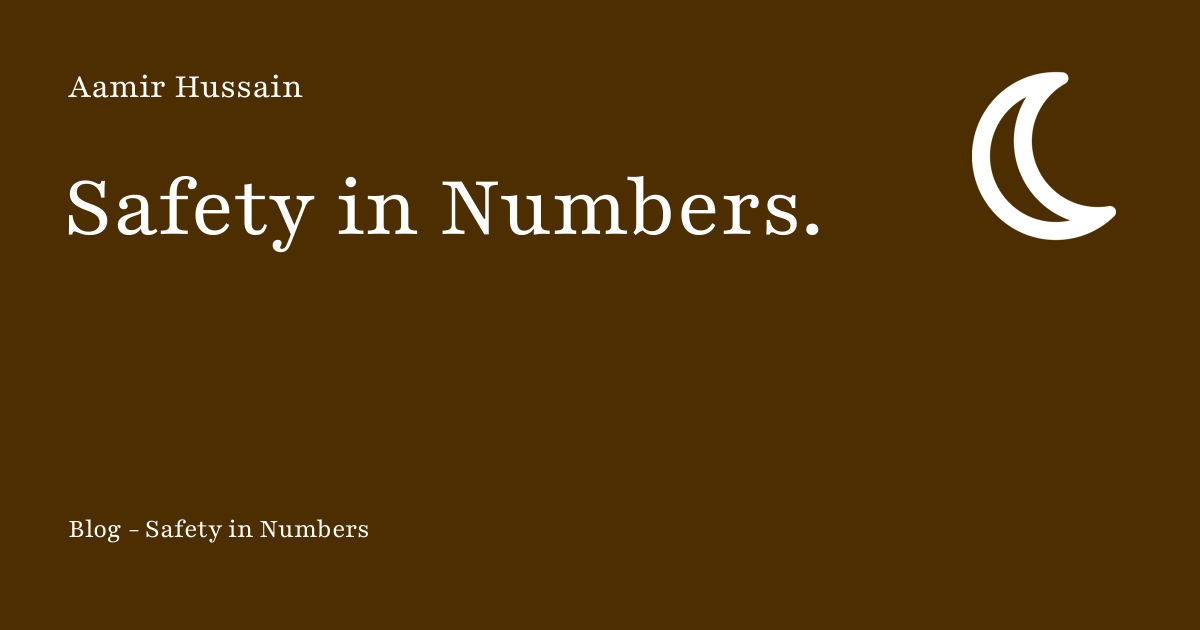 Safety in Numbers. - Aamir Hussain